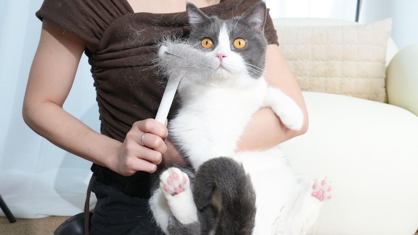 The Hidden Benefits of Regular Deshedding