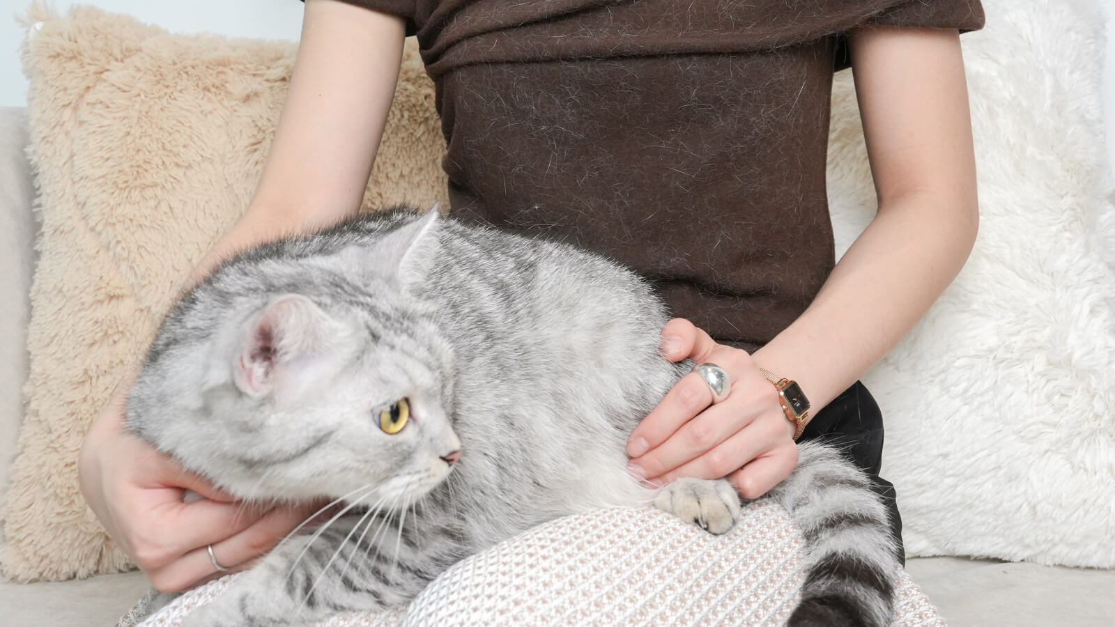 The Science of Shedding: What Causes Pets to Shed and How to Control I