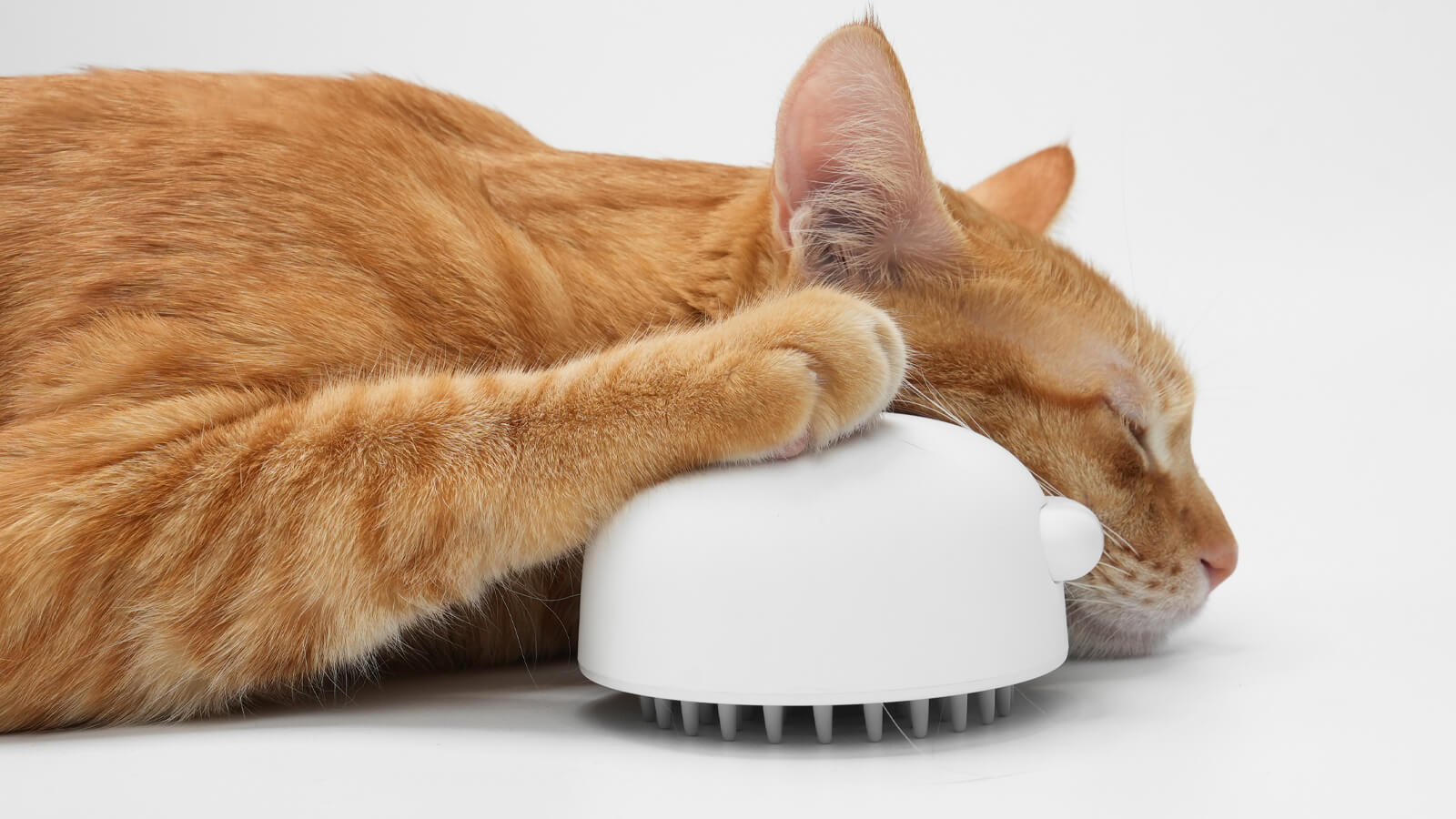 Should You Consider Using a Steam Brush?