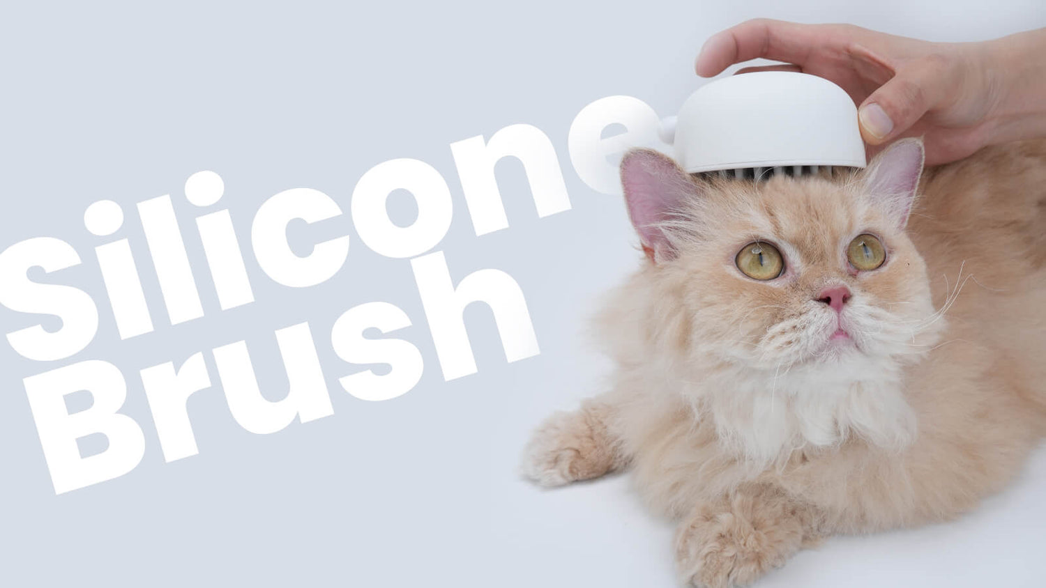 How Effective Are Silicone Brushes for Long-haired Cats?