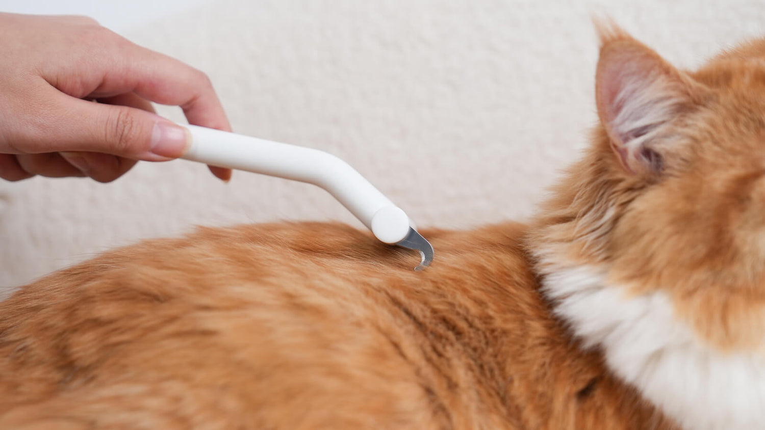 What Are Combs with Blades for Long-haired Cats?